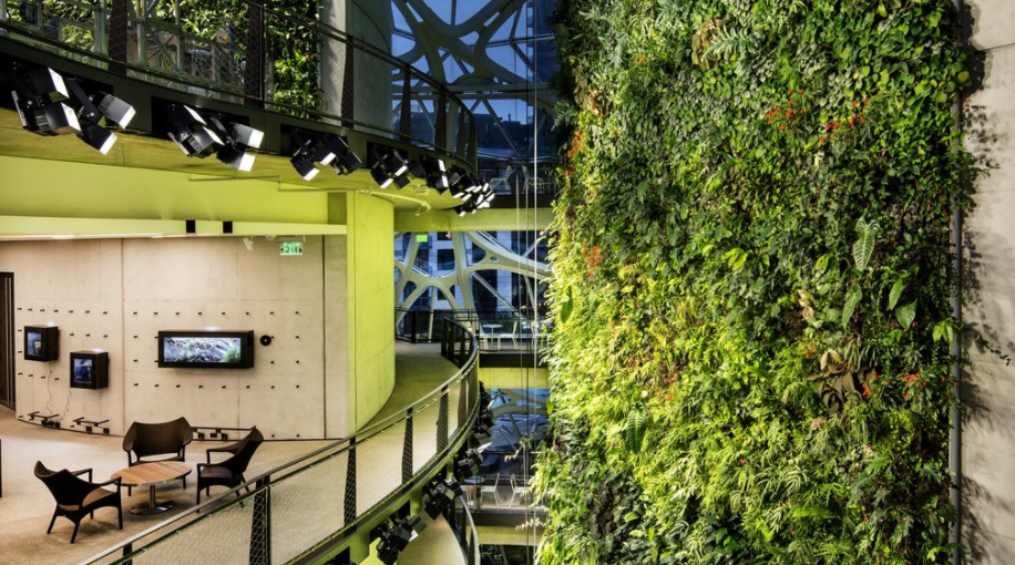 Zyrat e Amazon si në brendinë e një pylli (FOTO) - Klan Kosova