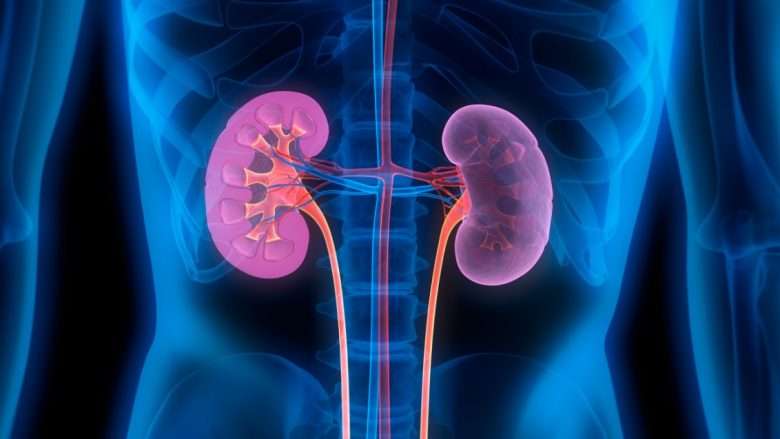 Shtatë fakte për gurët në veshka – Klan Kosova