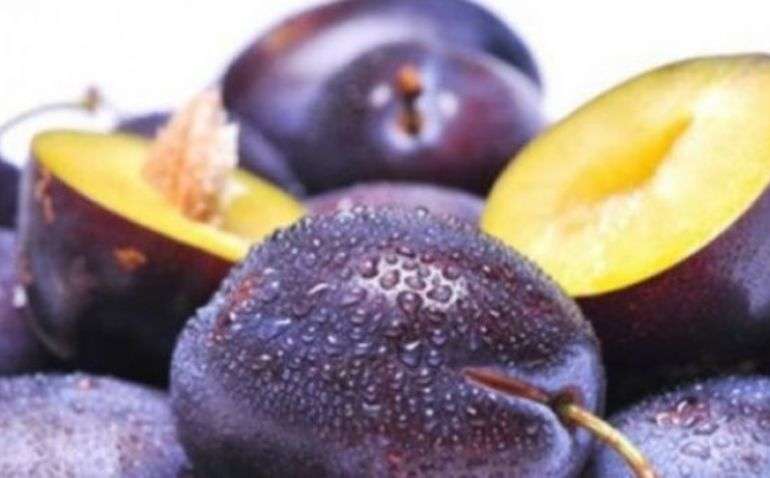 Kultivimi i kumbullës (VIDEO) – Klan Kosova