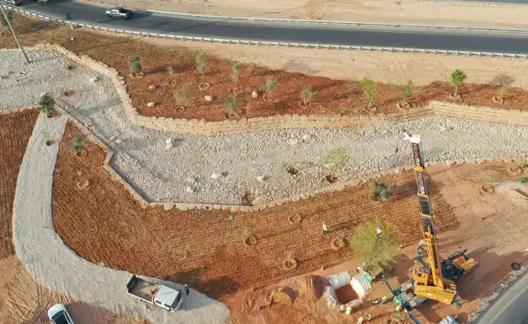 Arabia Saudite planifikon të mbjellë 10 miliardë pemë në shkretëtirë ...