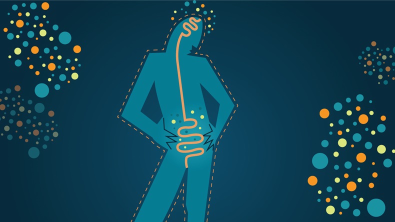 Zorrët, "truri ynë i dytë" - Klan Kosova