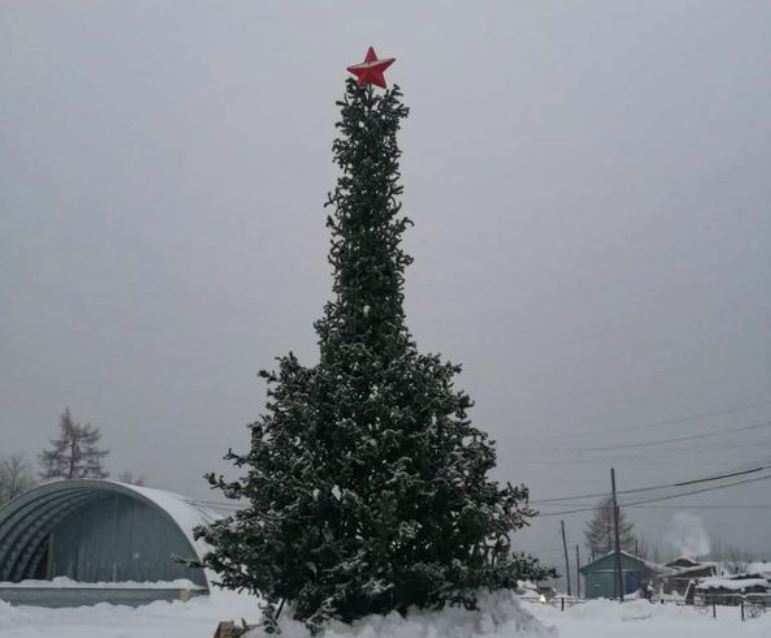 Bredhi që duket si organ gjenital zemëron banorët e fshatit - Klan Kosova