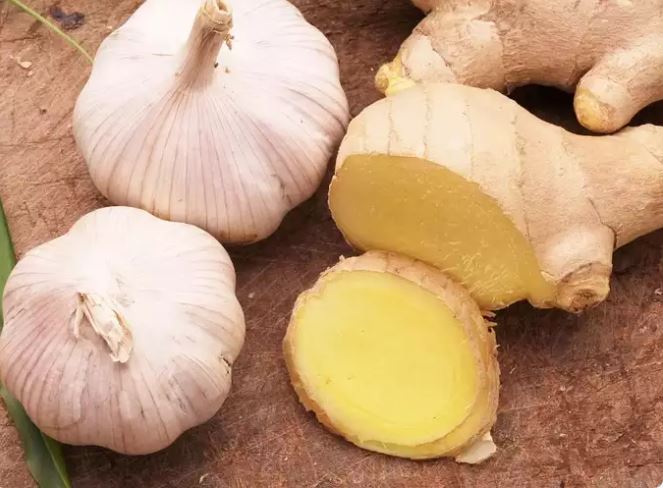 Si t'i mbani të freskëta xhenxhefilin dhe hudhrën? - Klan Kosova