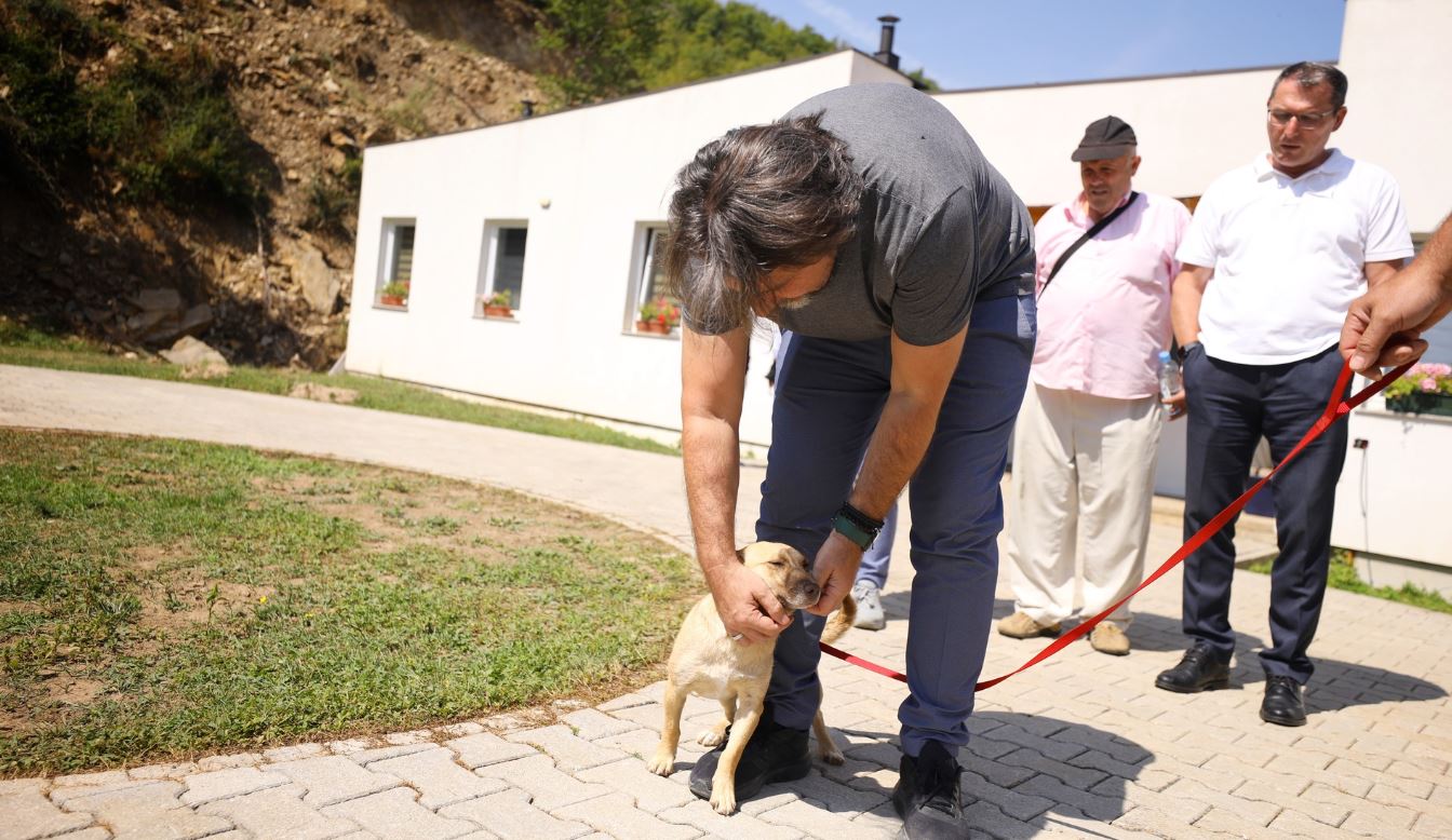 Rama: Secili nga qentë që jepet për adoptim do të jetë i pajisur me ...