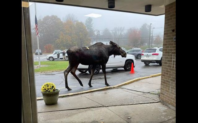 Massachusetts: Dreri brilopatë viziton shkollën fillore - Klan Kosova