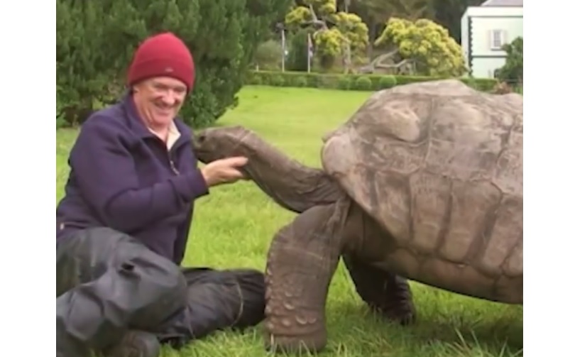 Kafsha tokësore më e vjetër në botë feston ditëlindjen e 191-të – Klan ...