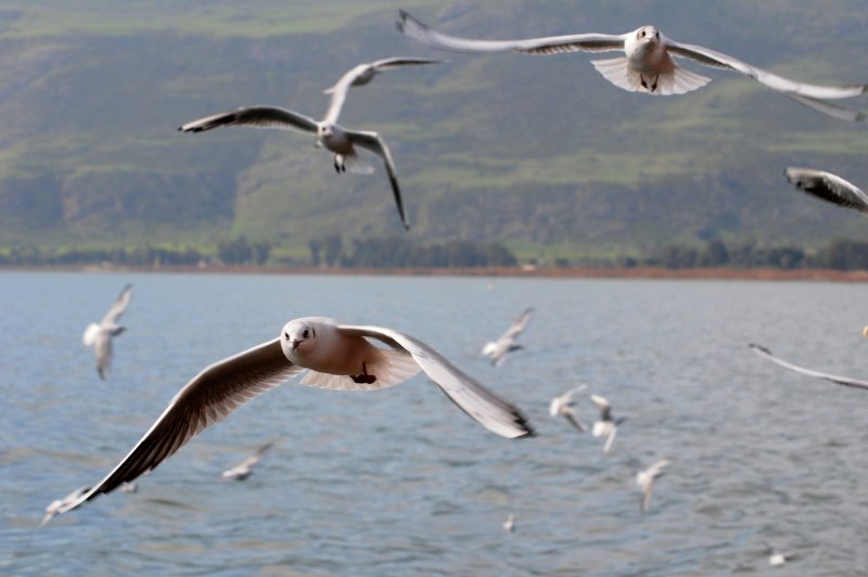 10 gara të çuditshme që organizohen nëpër botë (FOTO+VIDEO) – Klan Kosova