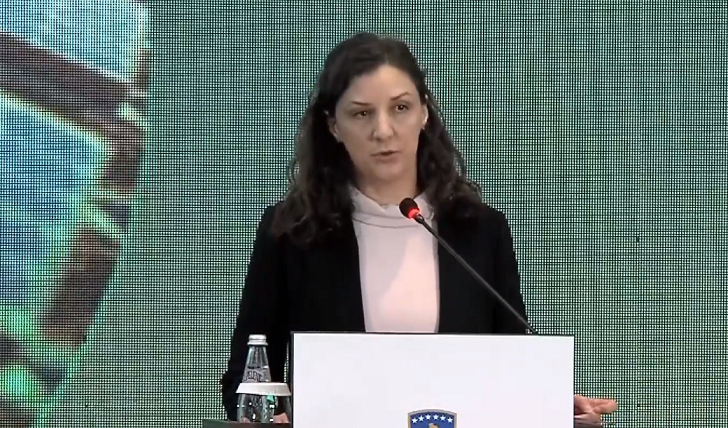 Ankandi solar, Rizvanolli: Kemi bërë një projekt tërheqës për ...