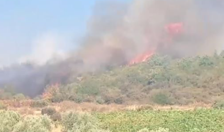 Arrestohet një 38-vjeçar në Shijak të Shqipërisë, dyshohet se shkaktoi ...