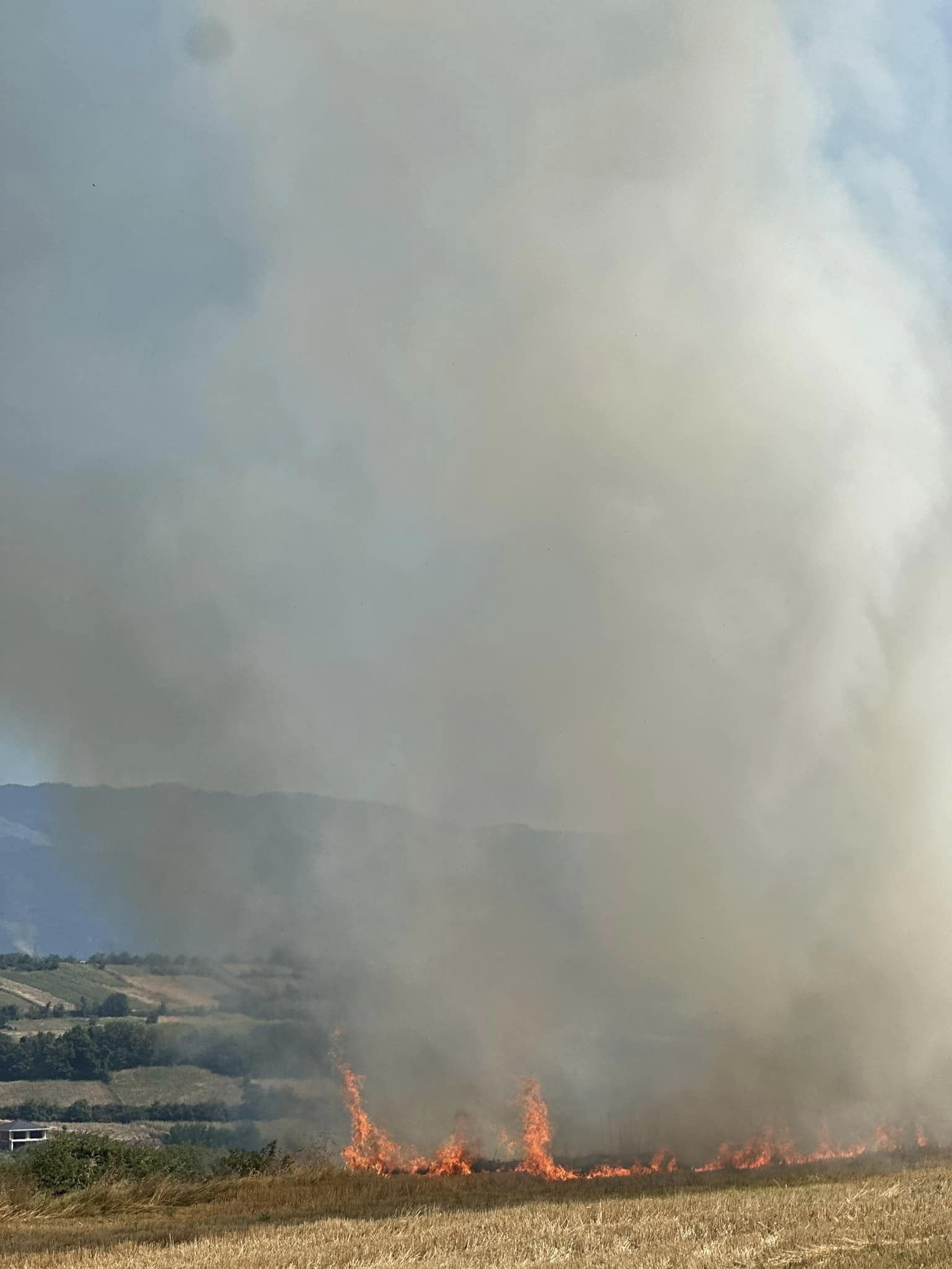 Zjarre në Rahovec, apel banorëve për kujdes (FOTO) – Klan Kosova