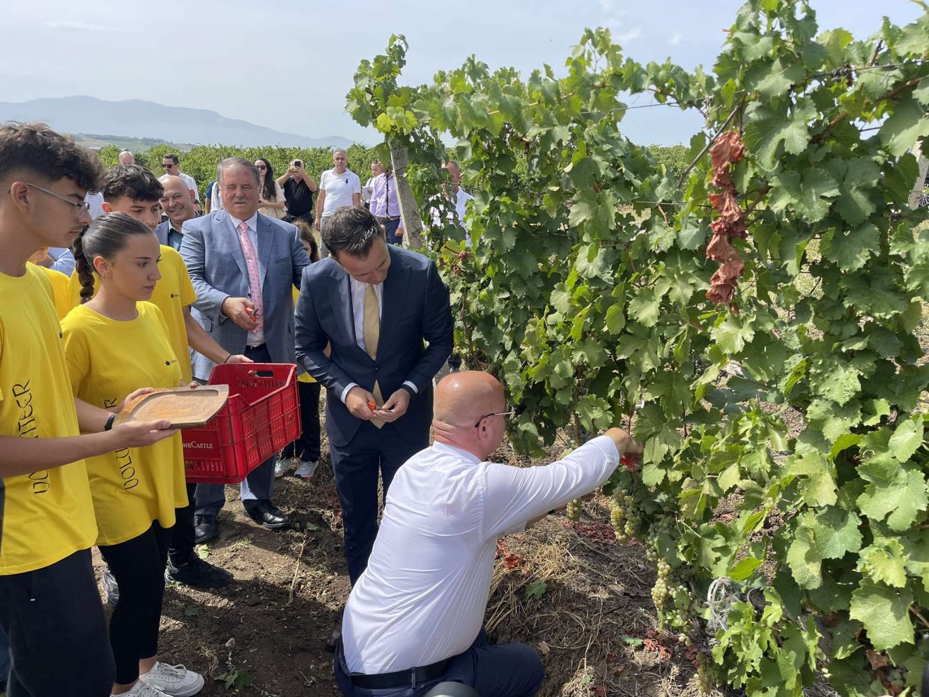 Peci dhe Latifi hapin zyrtarisht “Hardh Fest” me prerjen ceremoniale të ...