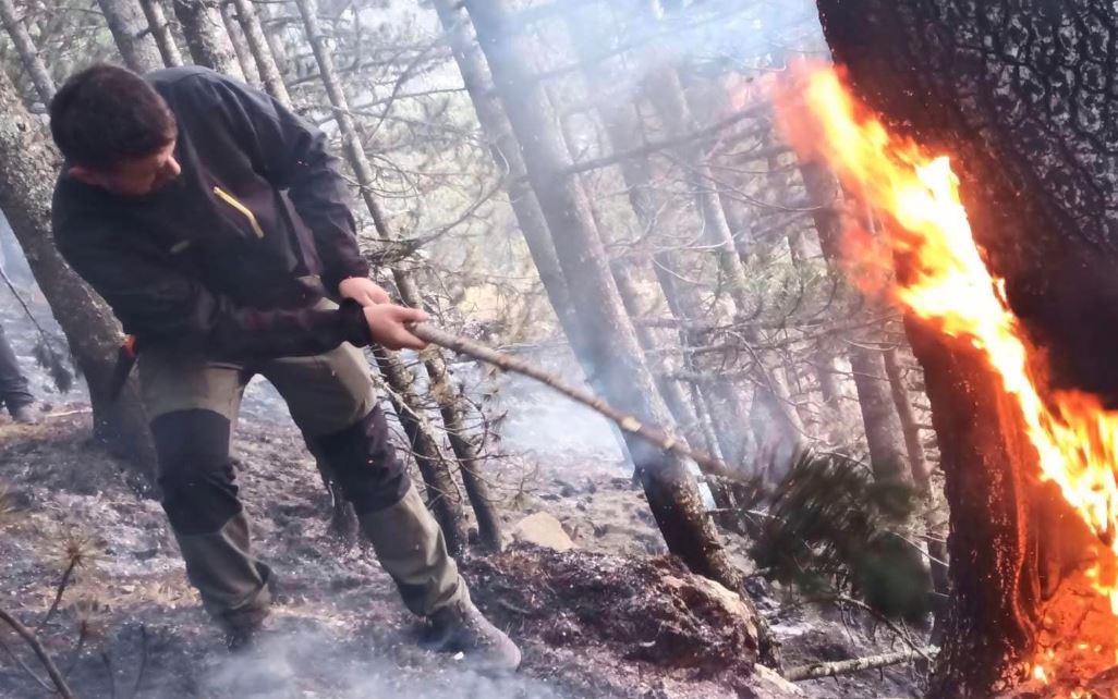 Pyjet e Lybeniqit kaplohen nga zjarret, Musliu-Shoshi bën thirrje për ...