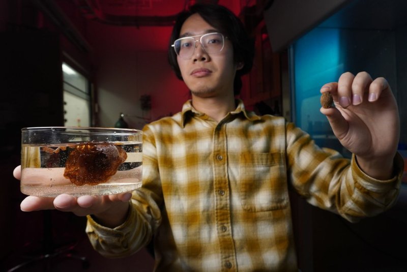 Bërthama e këtij fruti të thatë futet në trajtime mjekësore - Klan Kosova