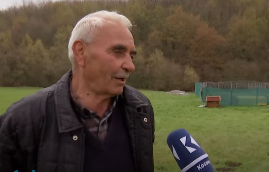 Strehimorja për qentë në Mirenë, telash për banorët e Fushticës (VIDEO ...