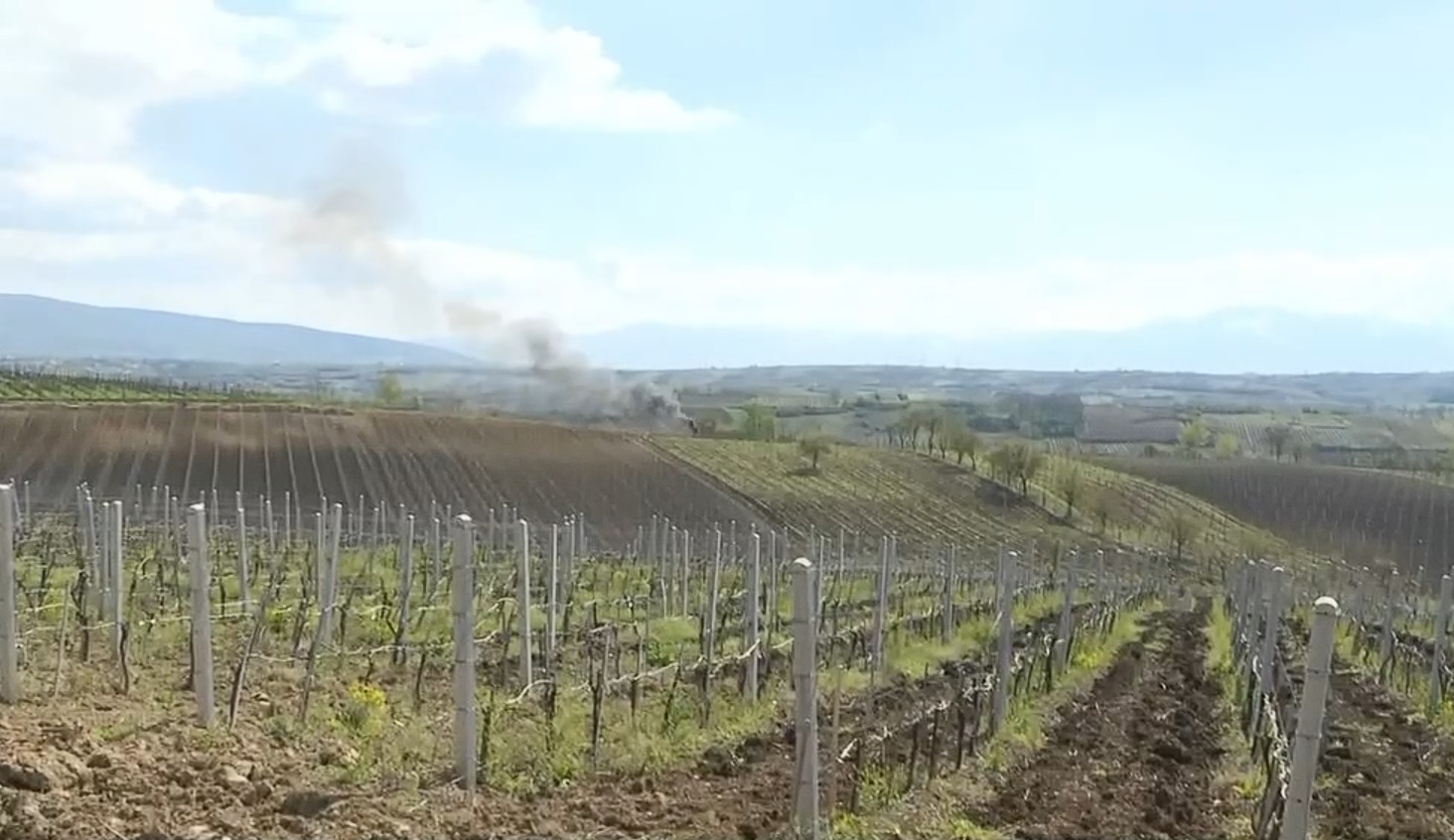 Vreshtarët e Rahovecit të shqetësuar nga temperaturat e ulëta – Klan Kosova