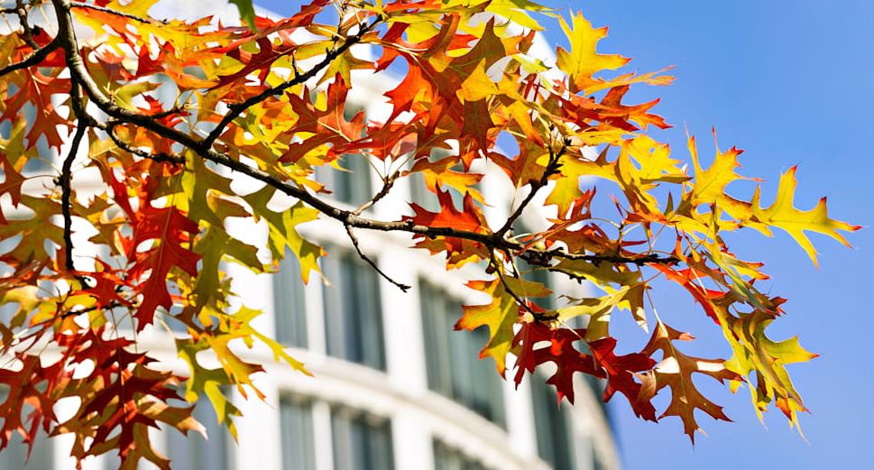 Në çfarë ore fillon saktësisht stina e vjeshtës? - Klan Kosova